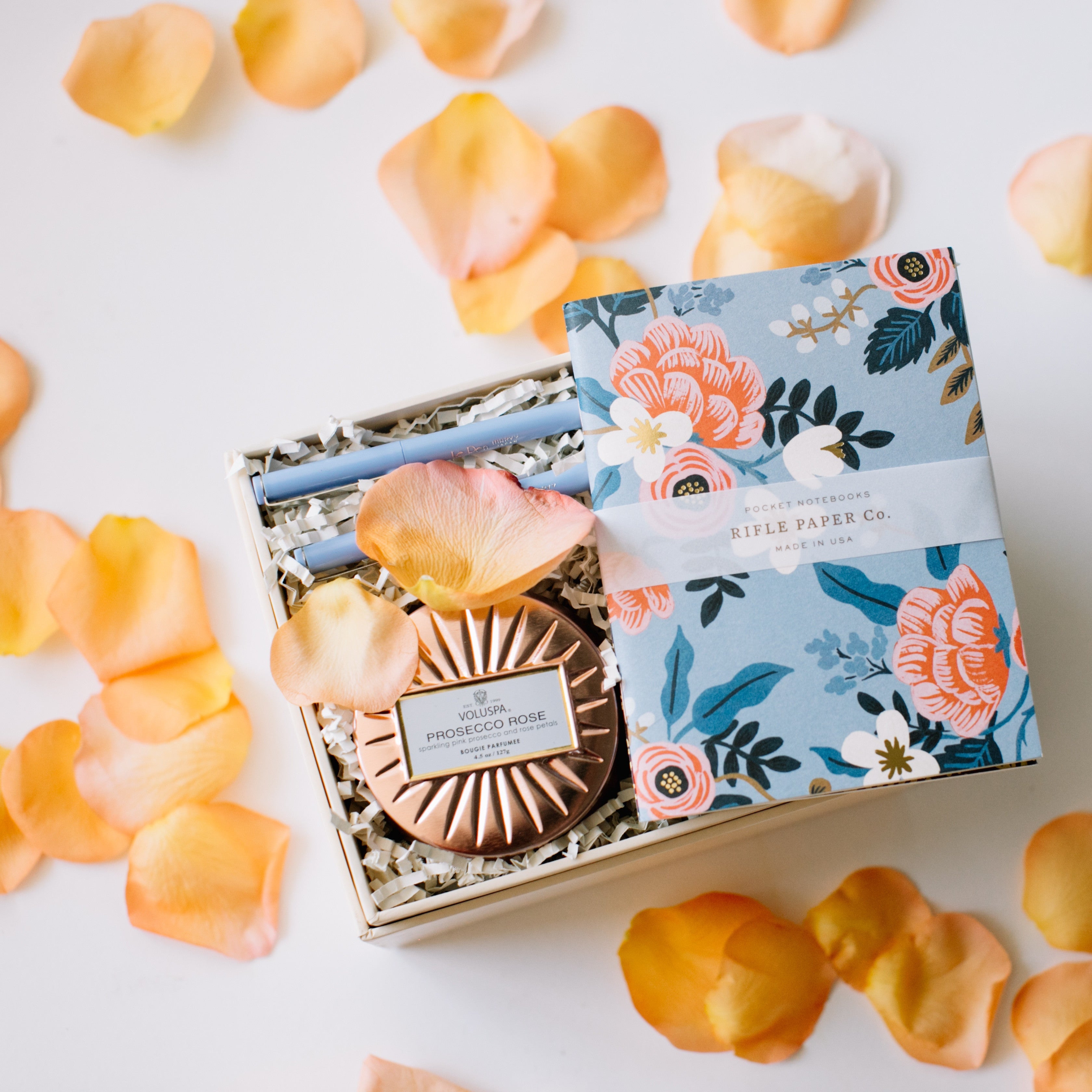 Behind The Scenes // GRATITUDE | BOXFOX