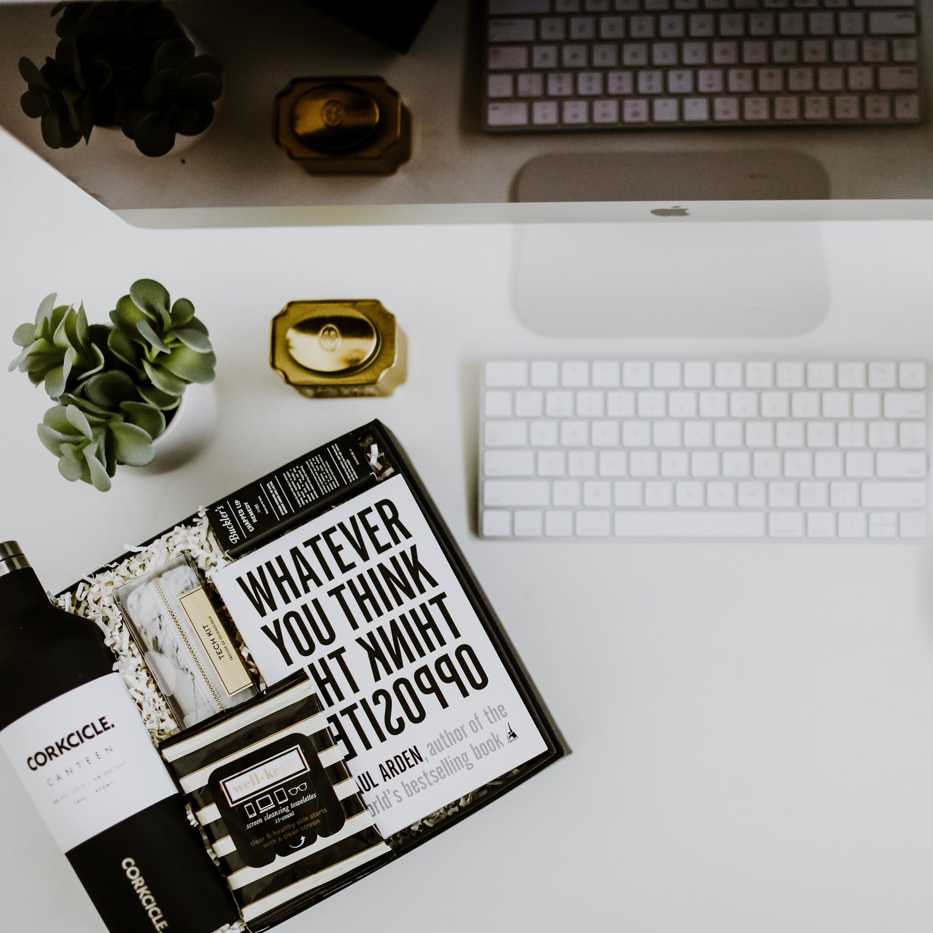 CAREERS NEW | BOXFOX