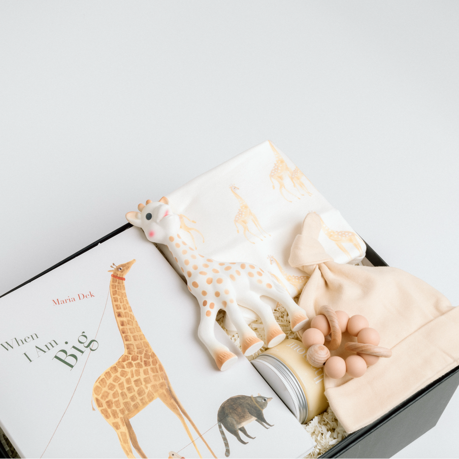 NEW FAMILYBOXFOX | BOXFOX