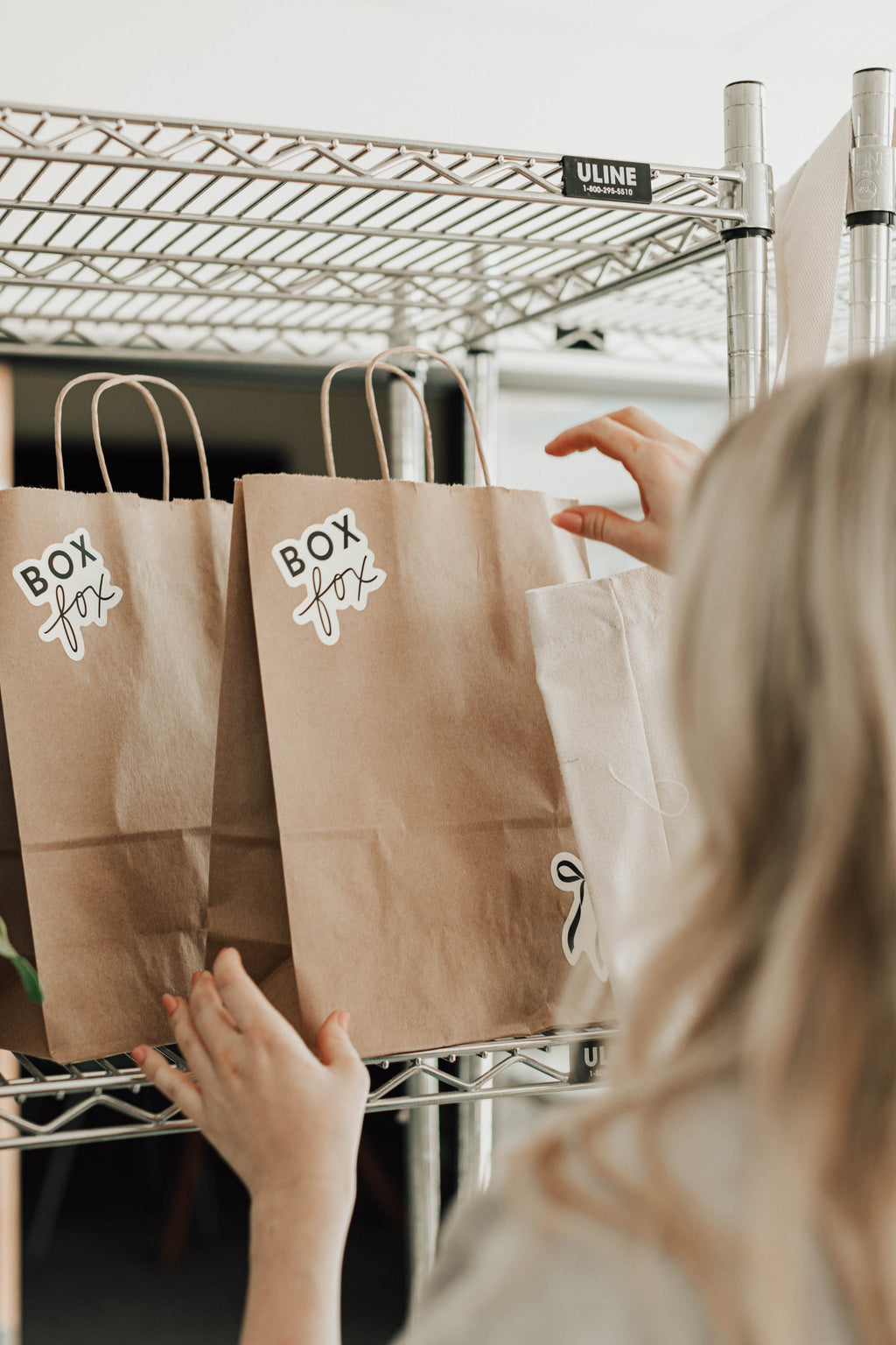 BOXFOX TEAM PAGE | BOXFOX