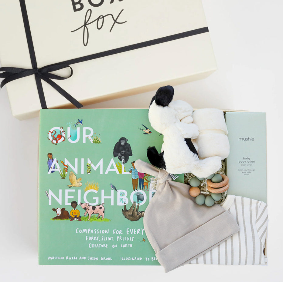 NEW FAMILYBOXFOX | BOXFOX